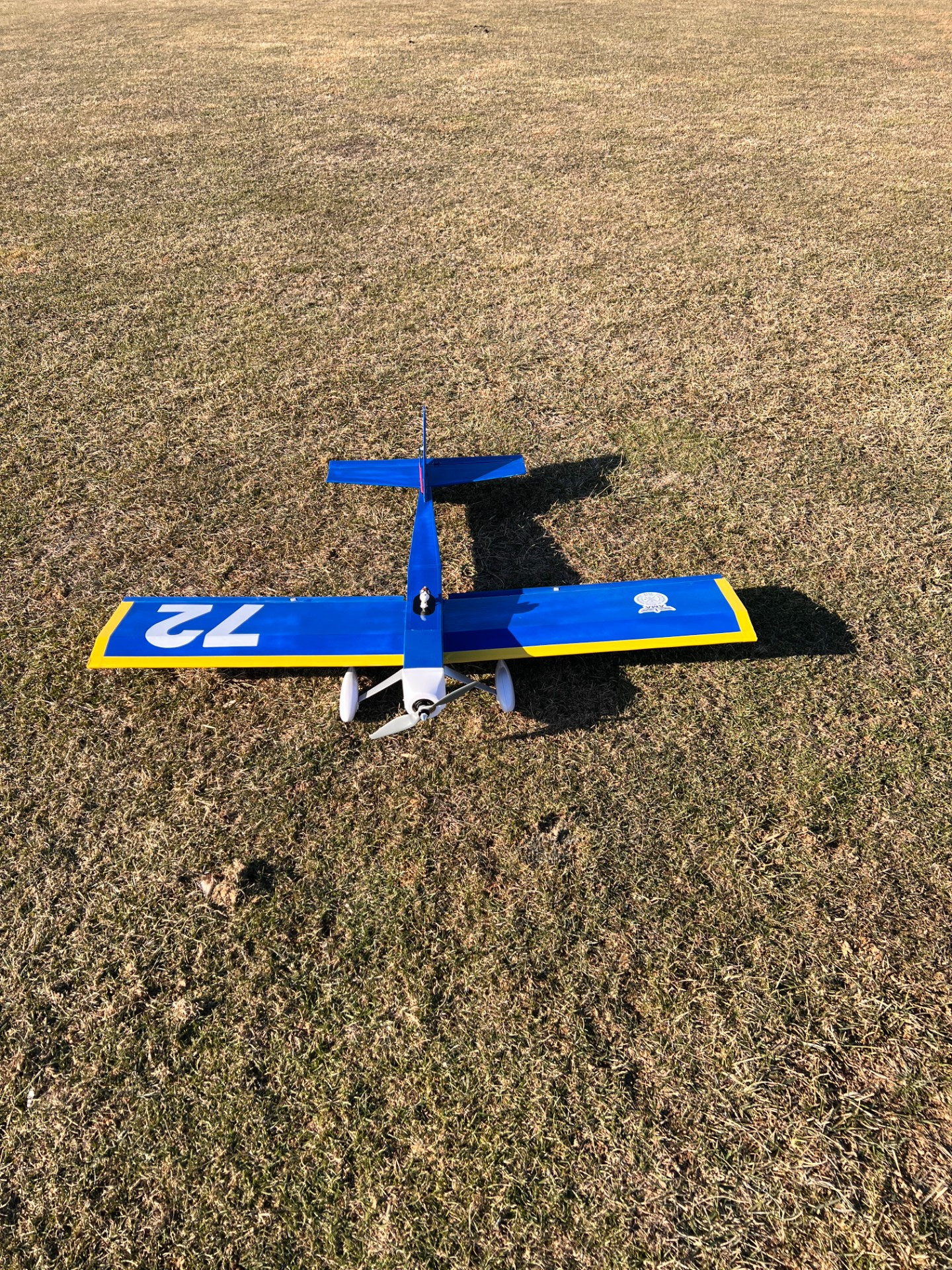 Unleashing Speed: The Ultimate Guide to Club Electric Pylon Racing ...