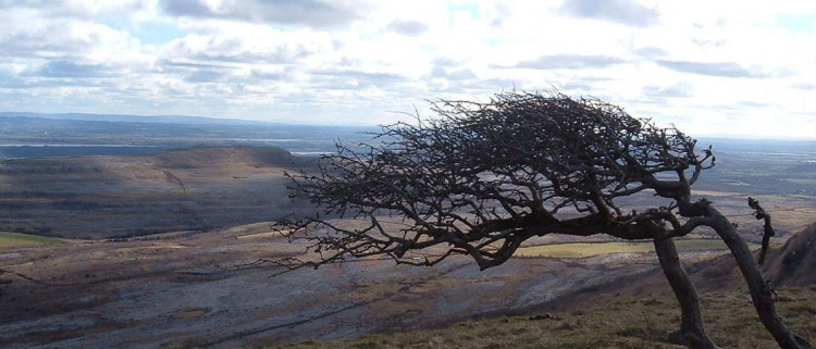 Home [www.katethompson.info]