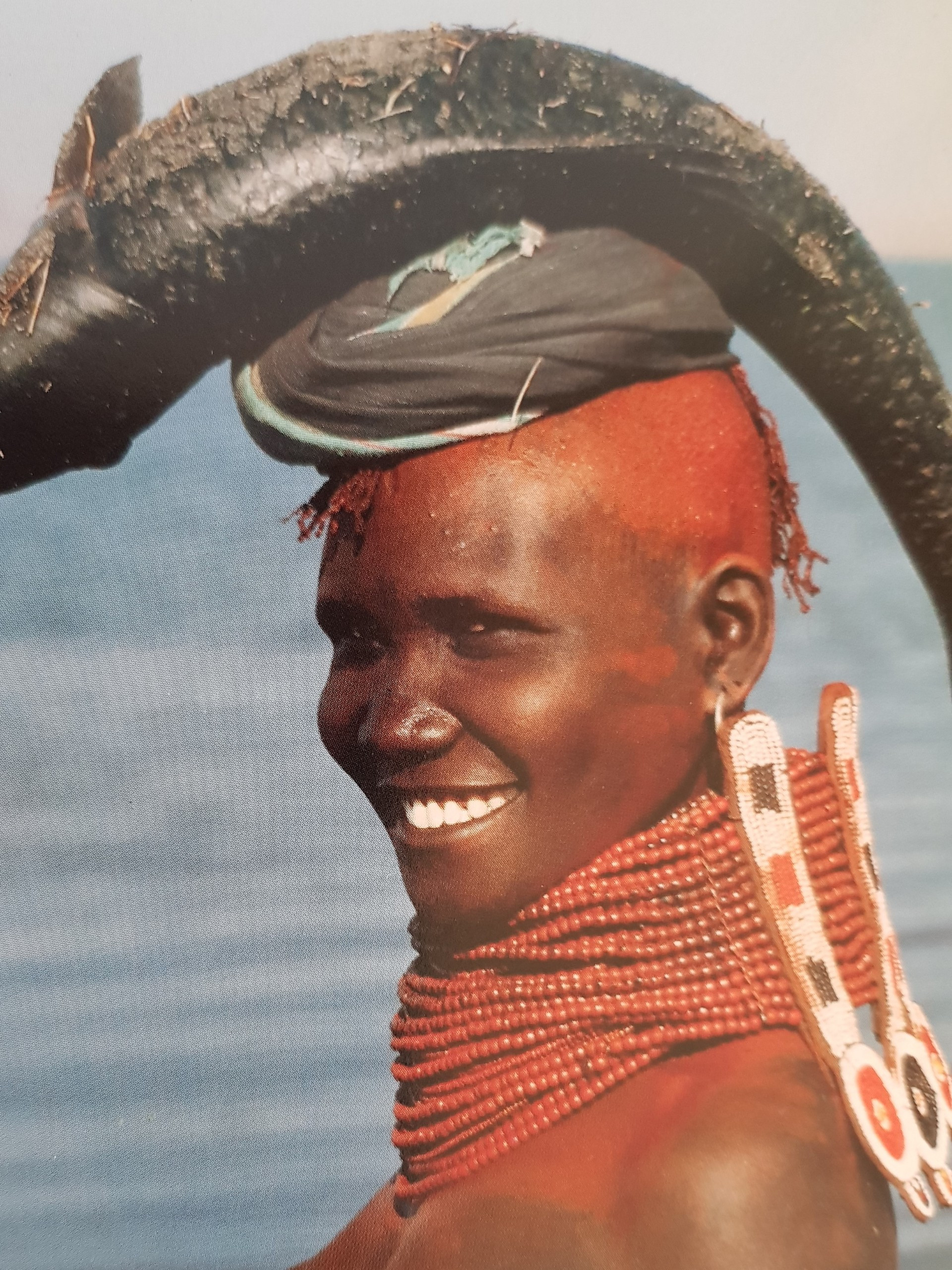 WOMEN OF THE AFRICAN ARK