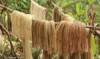 THE ABACA WEAVE