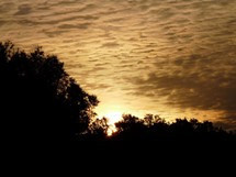 THERE IS NO NIGHT WITHOUT A DAWNING