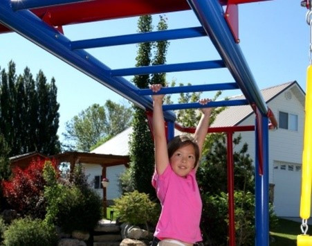 MONKEY BARS
