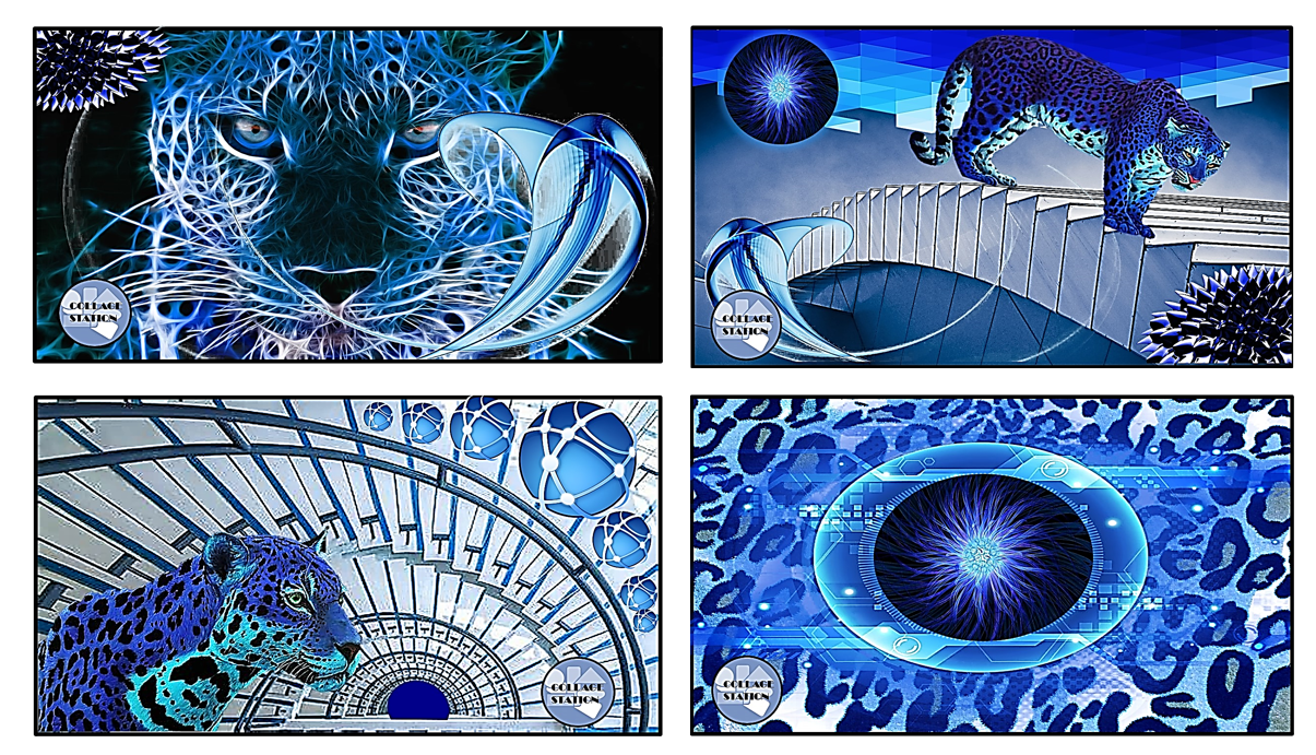 THE BLUE LEOPARD: Brave and Beautiful