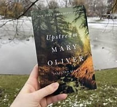 WHAT MARY OLIVER THOUGHT