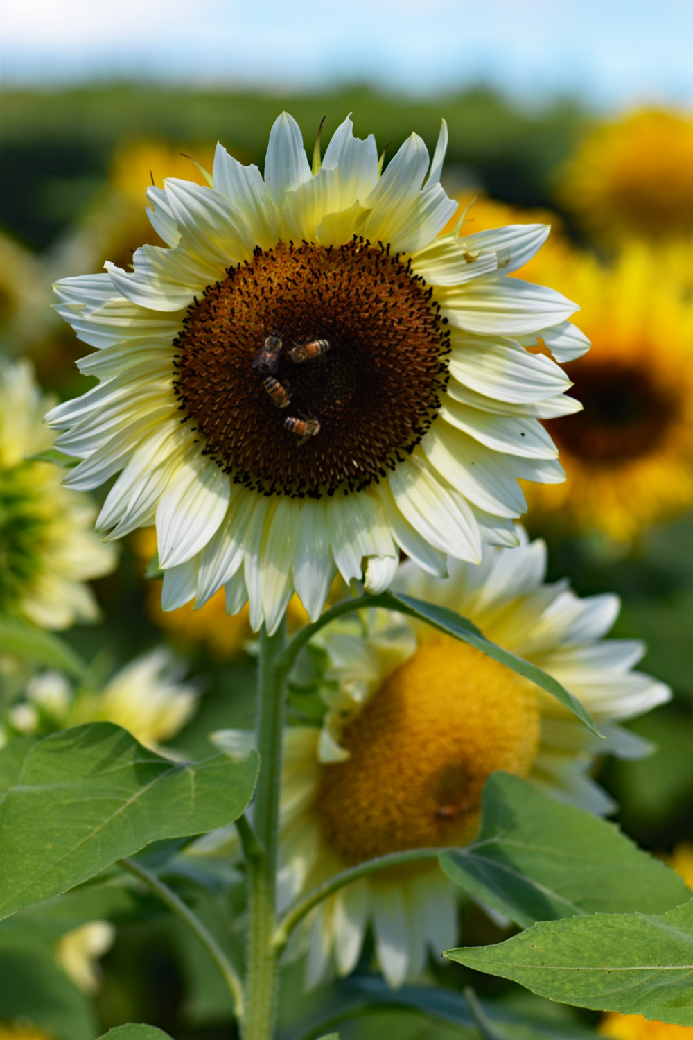 Home [stevemcgrathphotography.com]