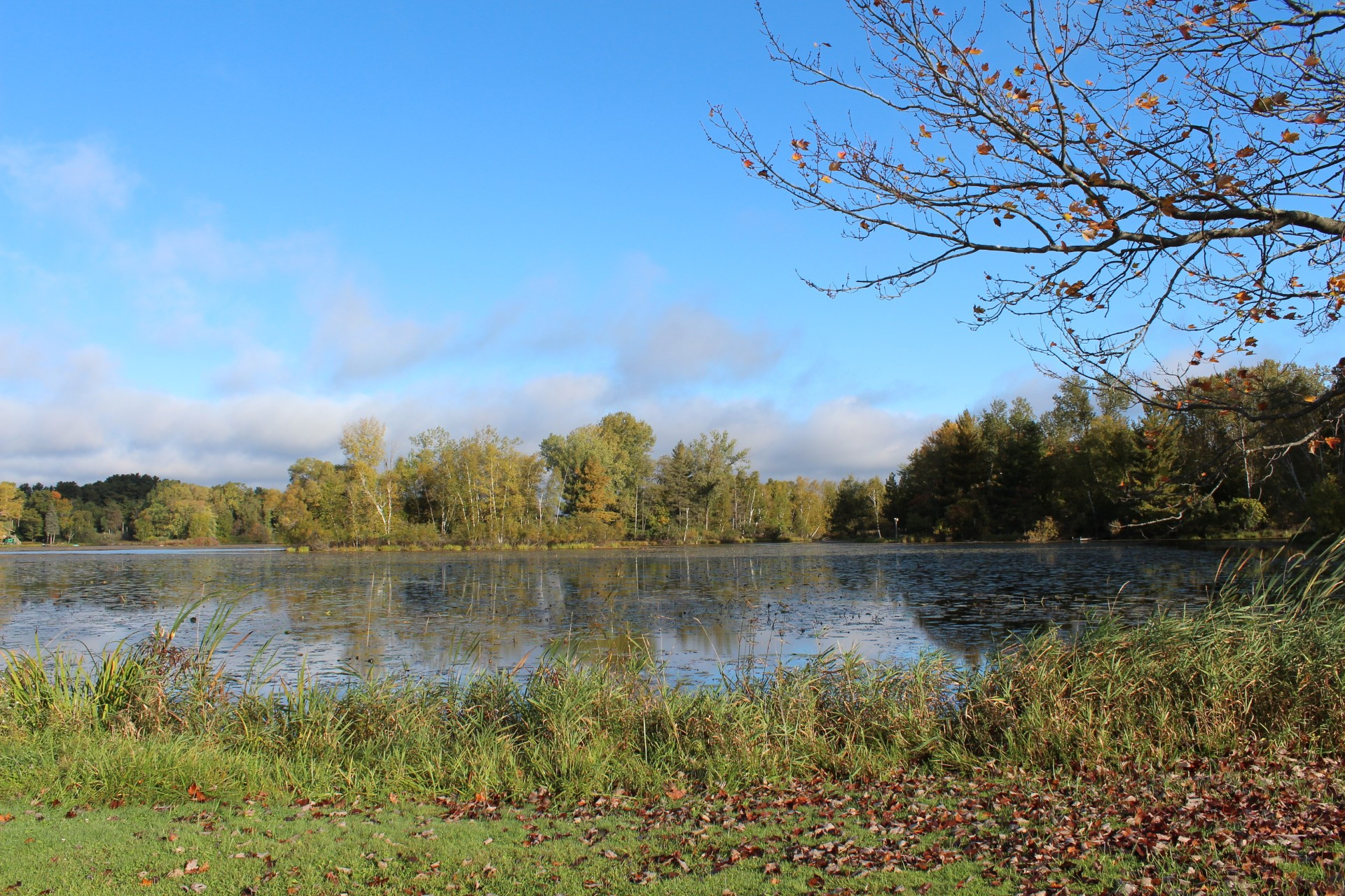 Home [www.villageofiola.com]