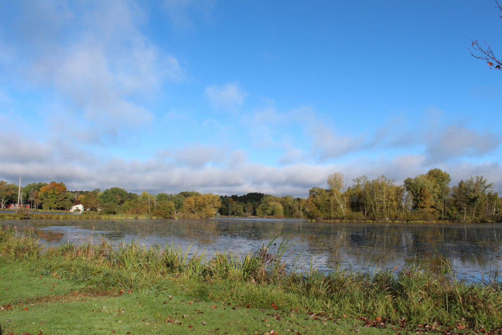 Home [www.villageofiola.com]