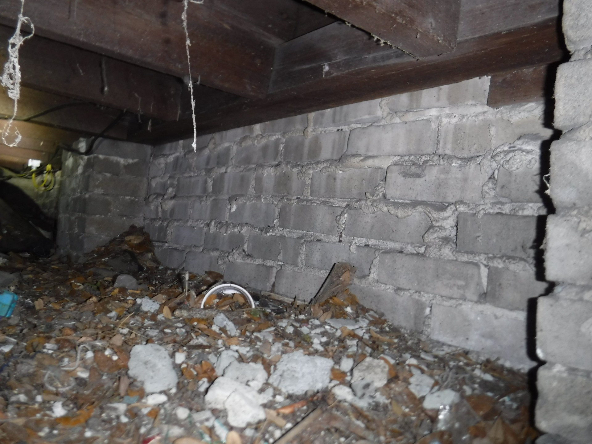 Standard Home Inspection