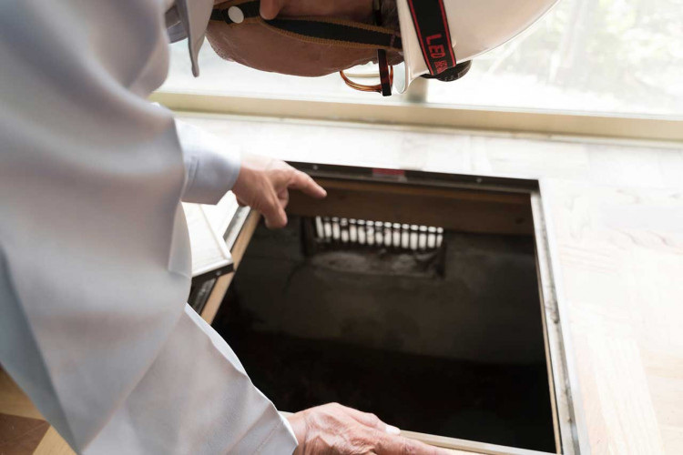 What is a WDO Inspection?
