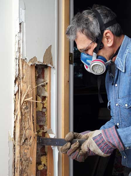 What is a WDO Inspection?