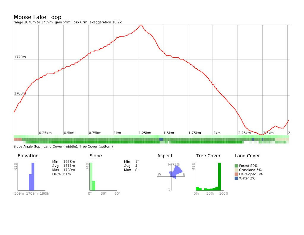 Jasper National Park Hiking Trails - Backcountry Views