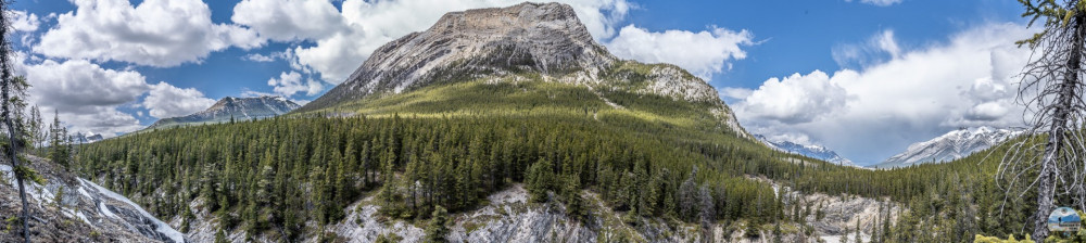 Cline River Area Hiking Trails - Backcountry Views