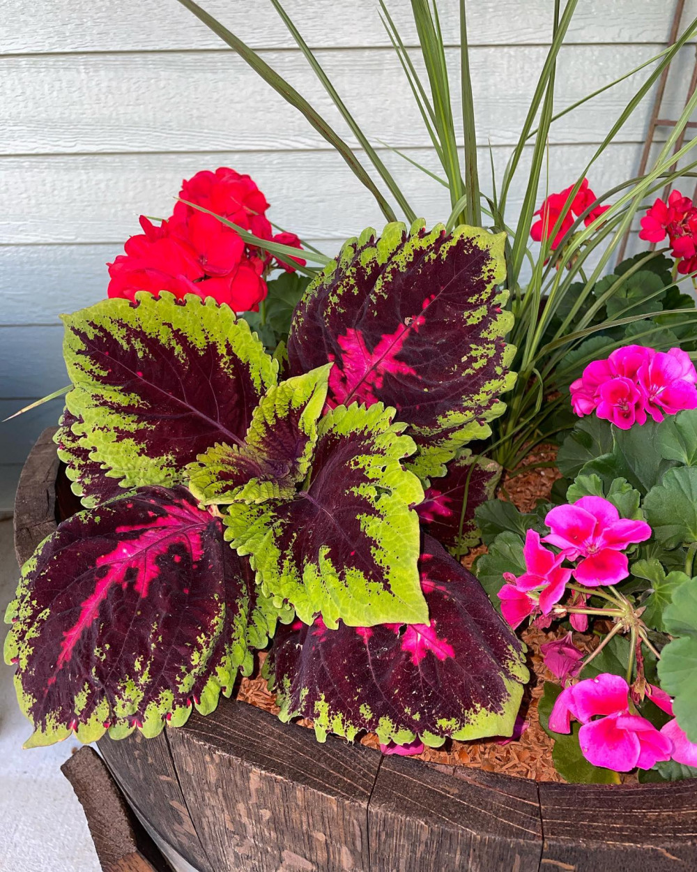 Home [www.harvesttimeshells.com]