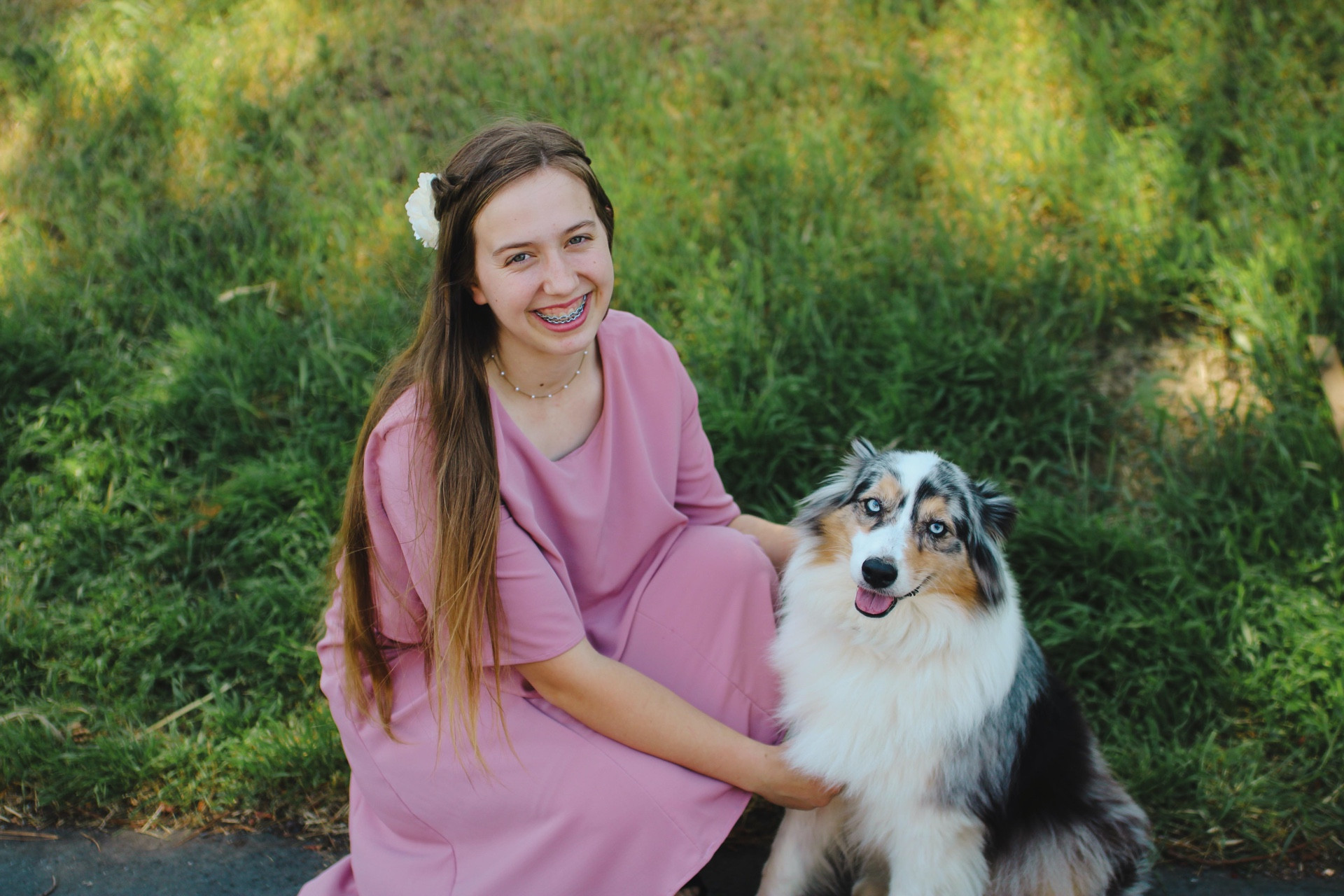 Tried and True Aussies - Males and Females