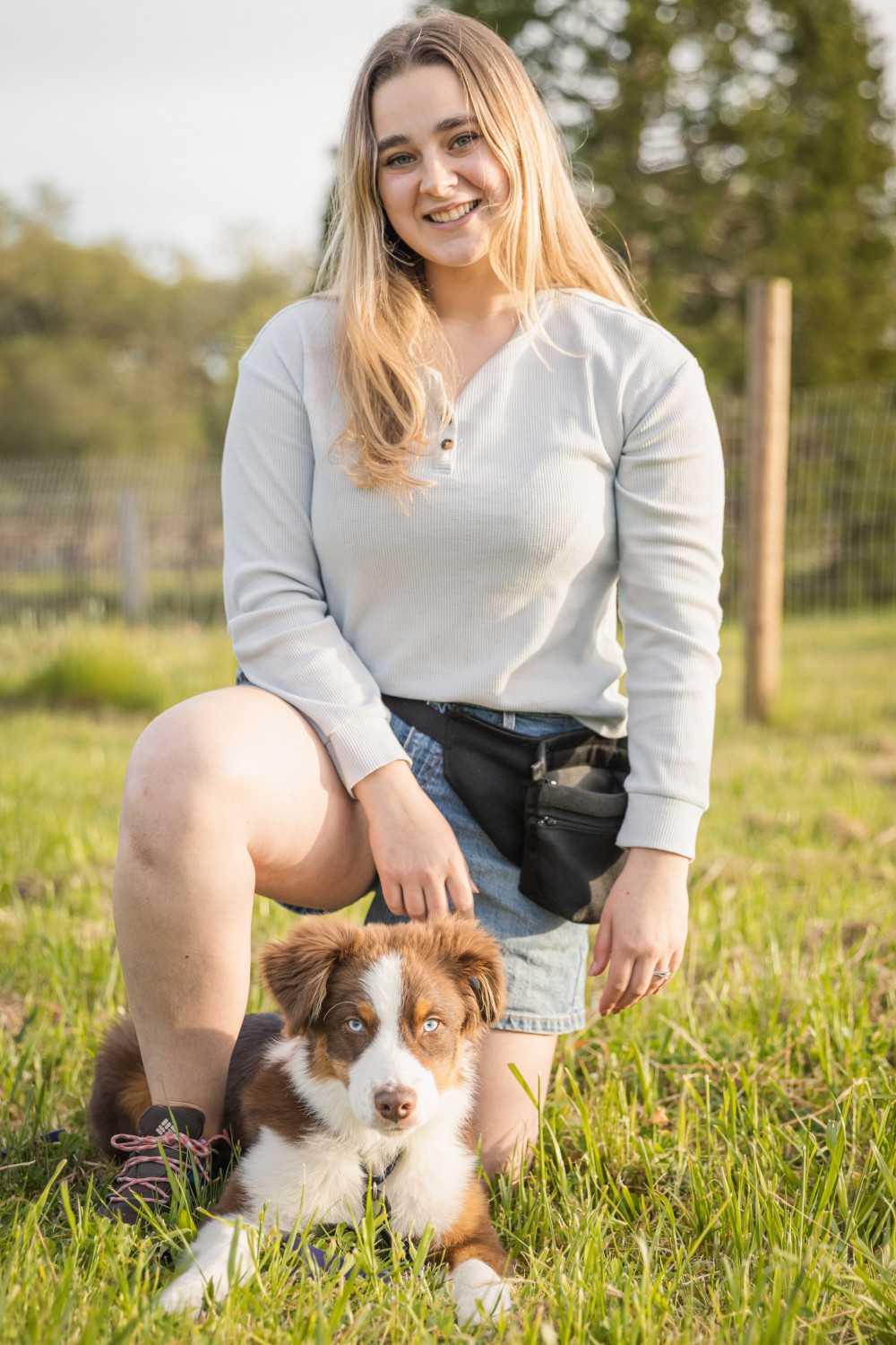 Tried and True Aussies - Home