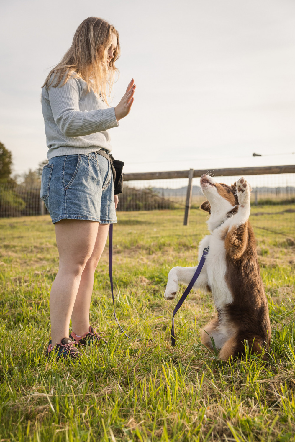 Tried and True Aussies - Home