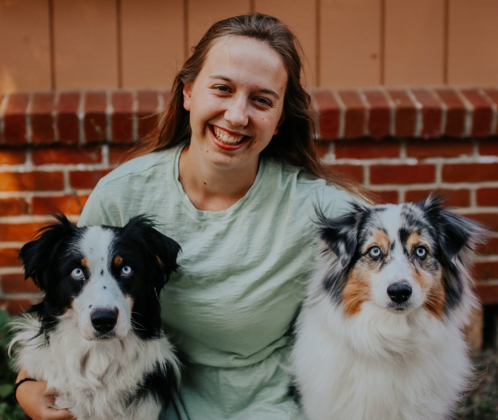 Tried and True Aussies - Males and Females