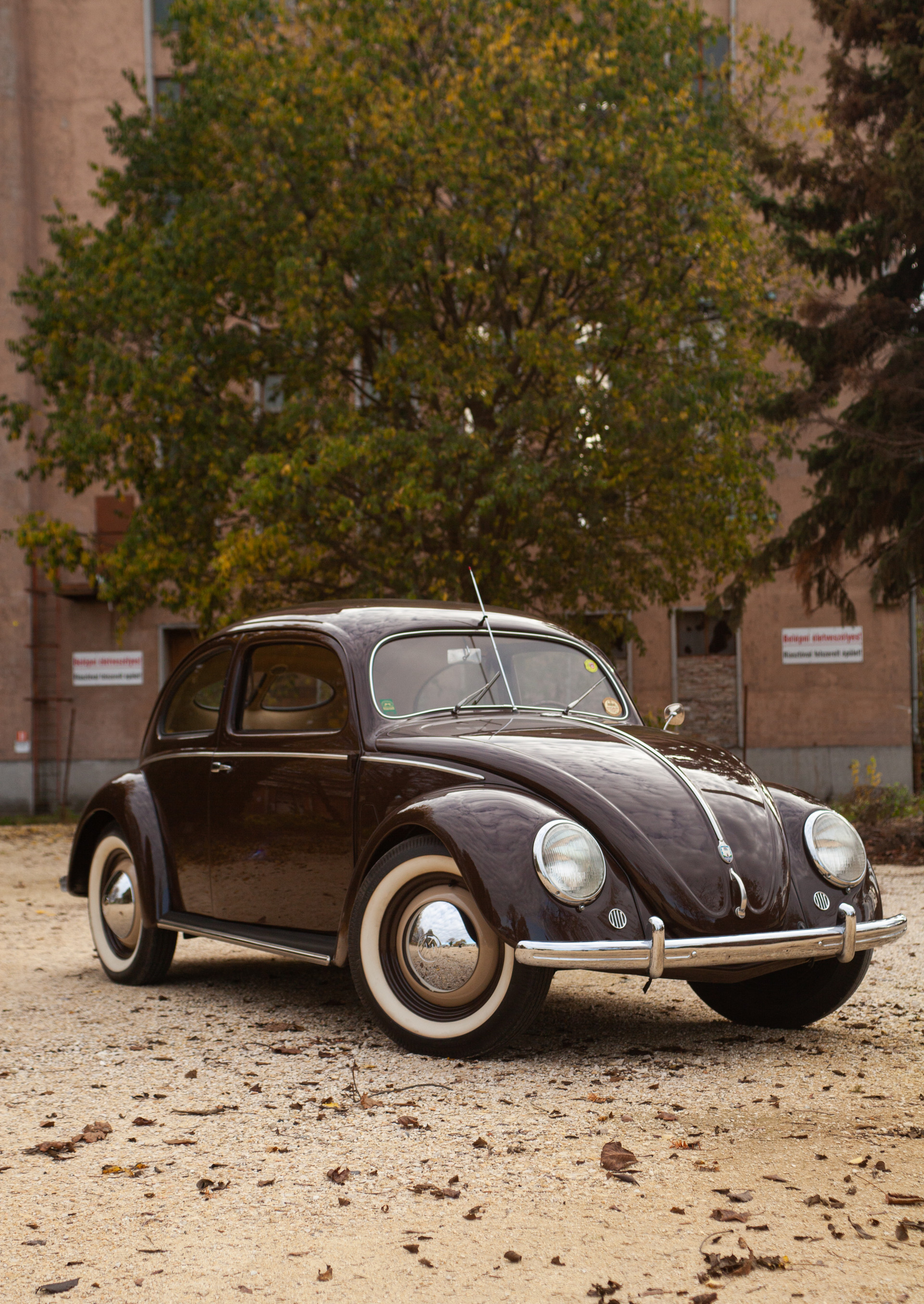1952 Volkswagen Beetle 1100 De Luxe for sale by Petrolhead Classics