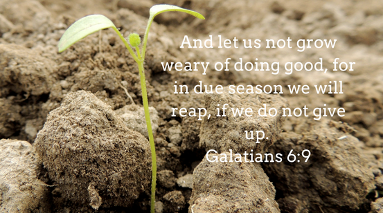 Do Not Grow Weary In Doing Good!