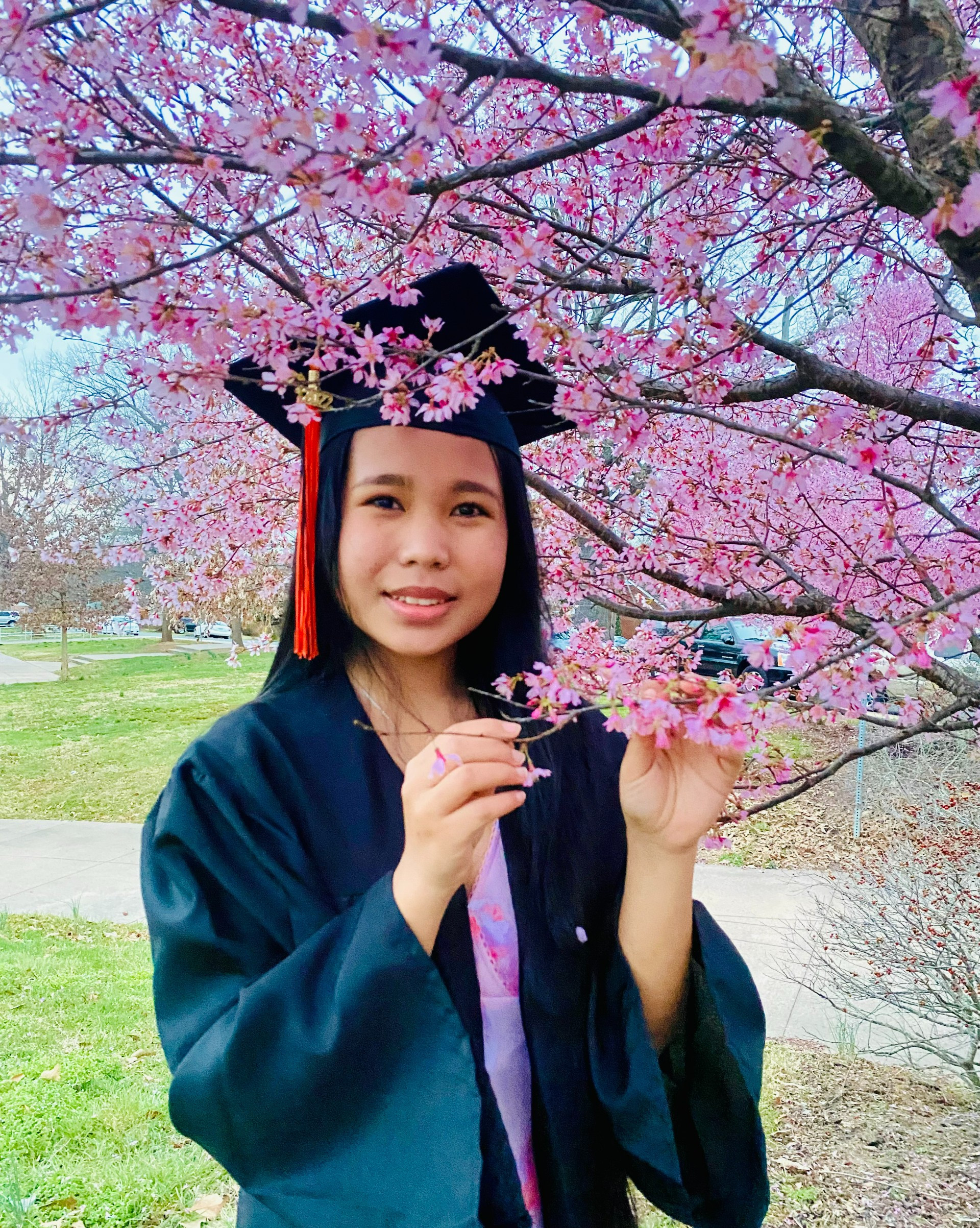 Home [www.cvillescholarship.com]