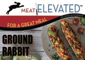 Ground Rabbit