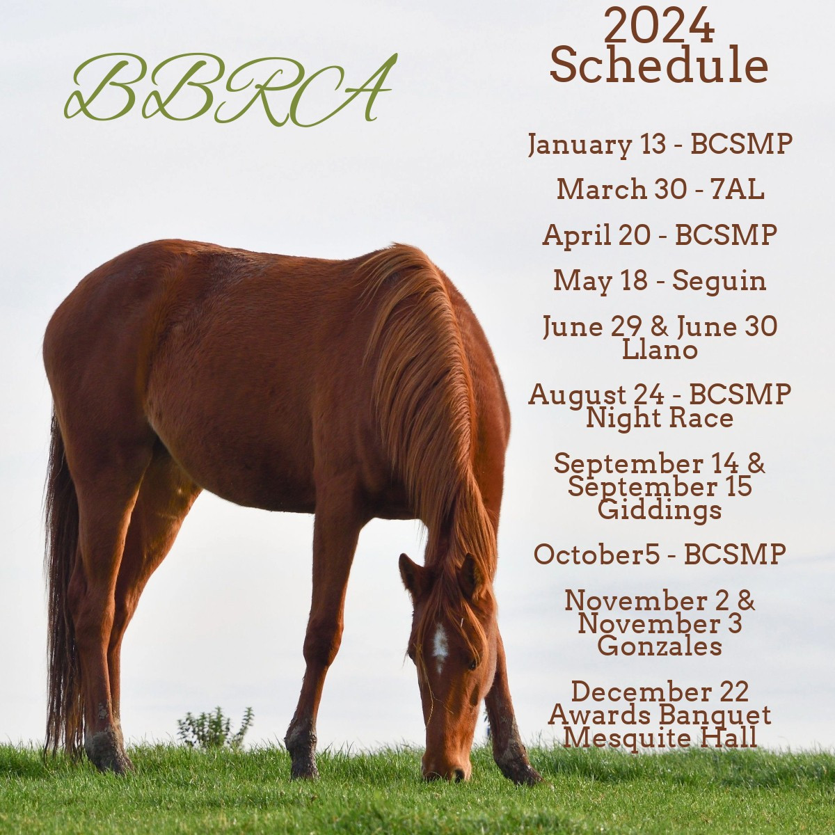 Home [www.bluebonnetbarrelracingassoc.com]