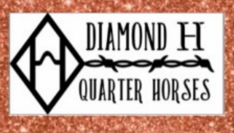 Home [www.bluebonnetbarrelracingassoc.com]