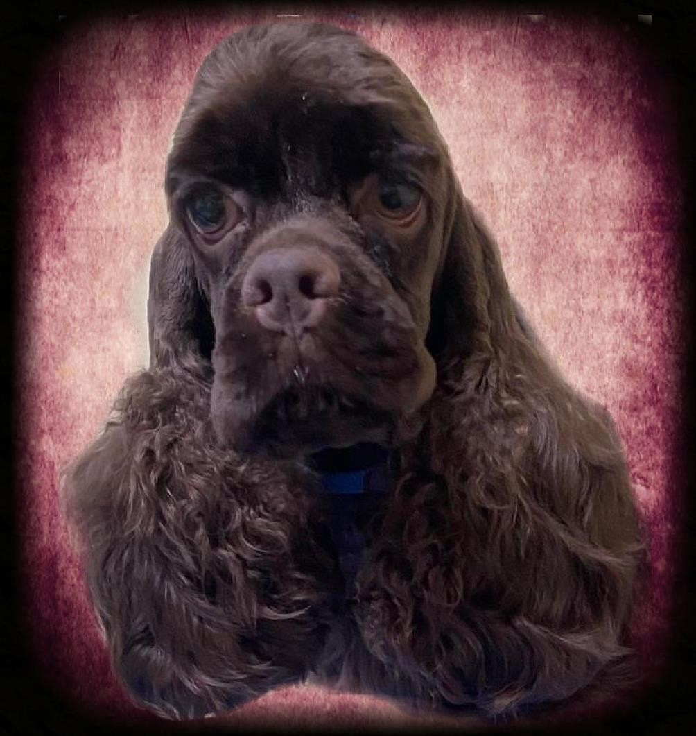 wunderlandssolidgirls