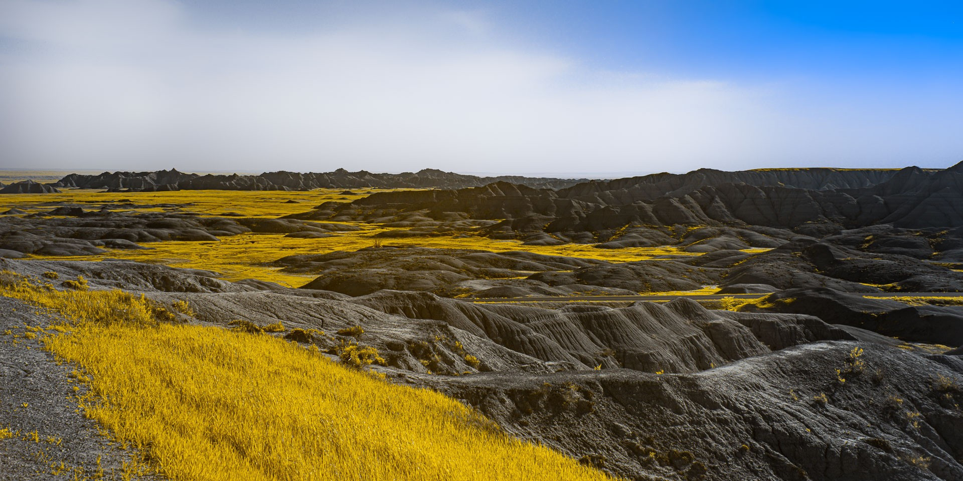 Exploring the Profound Connection between Humans and naturalism