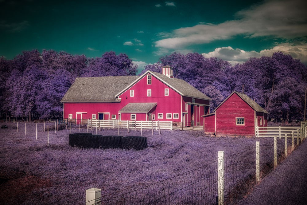 A Night at The Clock Family Farm: A Harvest Host Experience in Indiana