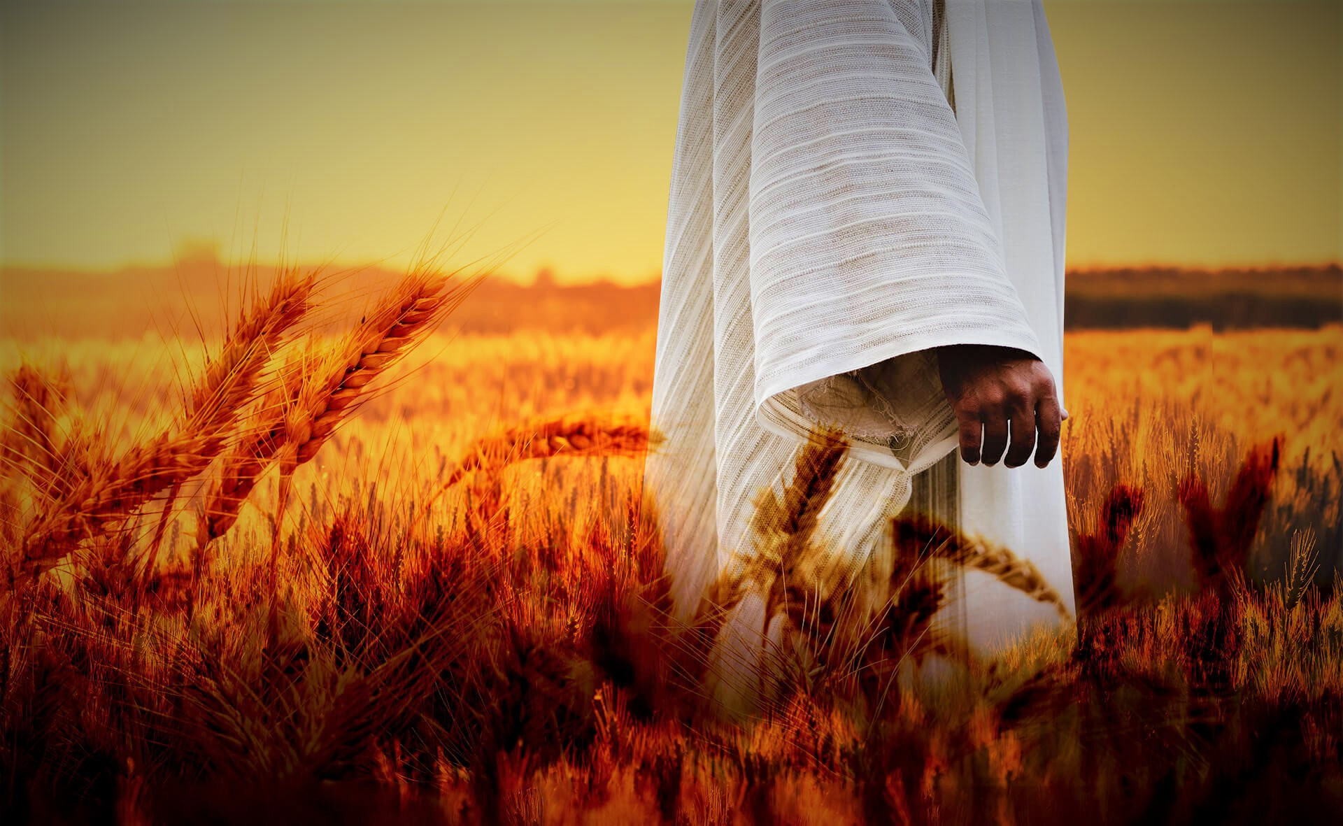 THE HOLY FEAST DAYS (MOEDS) OF YAH VS THE PAGAN HOLIDAYS