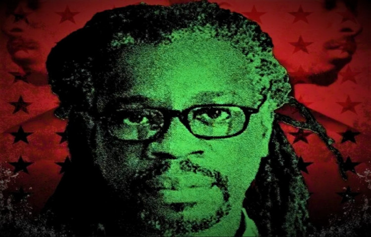 BLACK LIBERATION ARMY ELDER MUTULU SHAKUR GRANTED LIBERTY FOR LAST DAYS ...