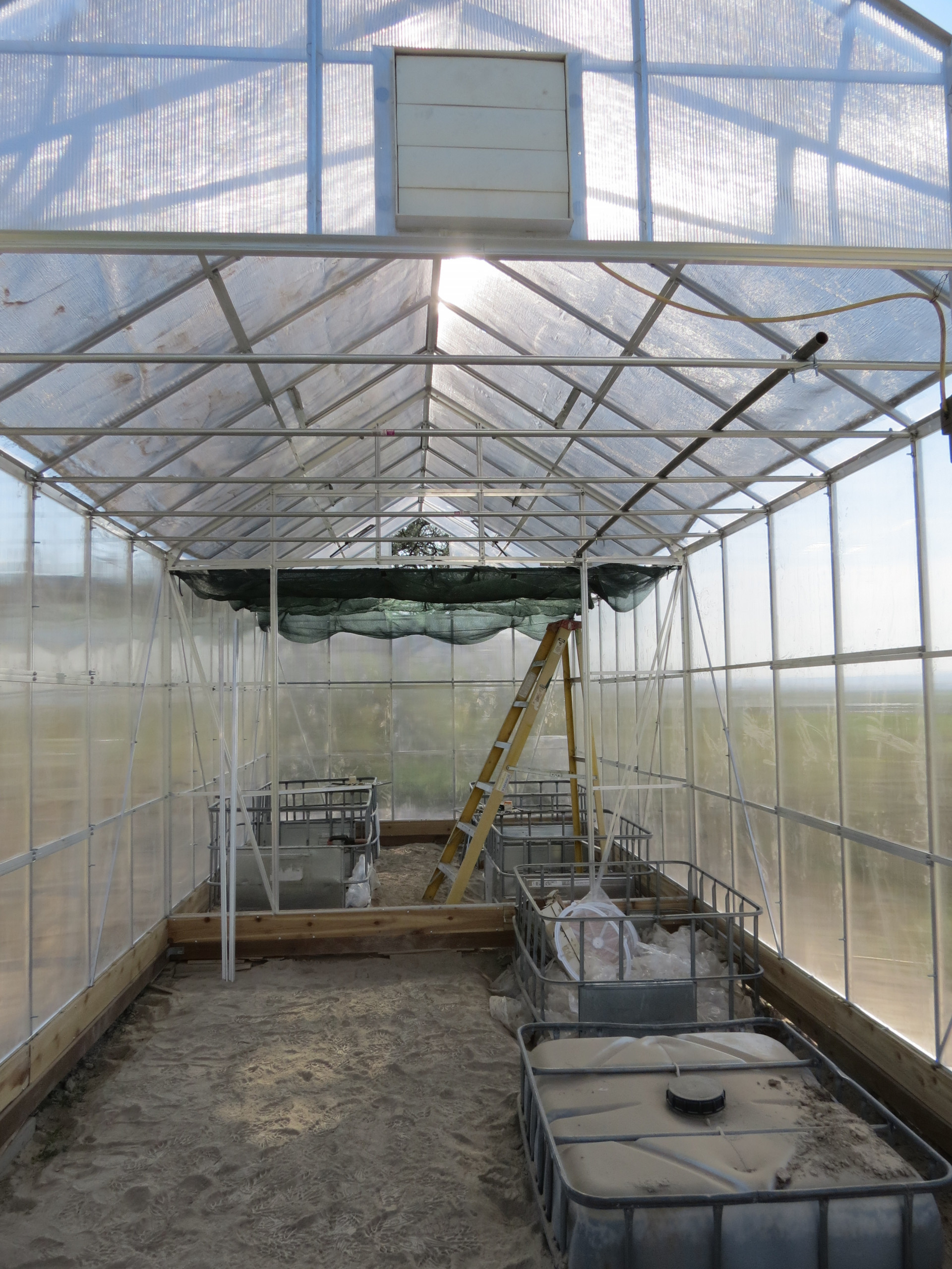 Greenhouse kits from the bottom up