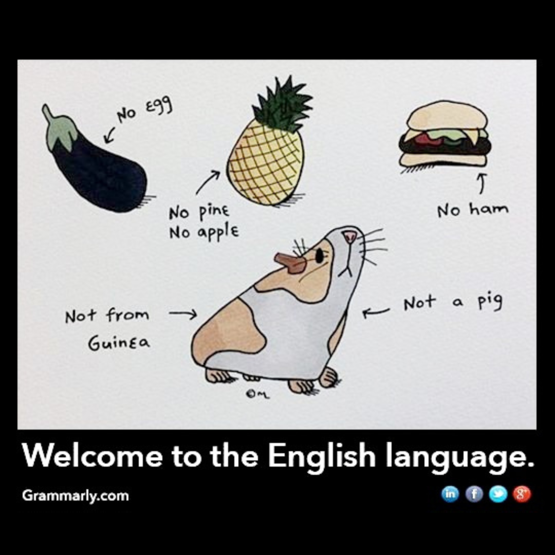 Meme Madness: Puntastic Word Play, Spicy Romance & Morbid Fun