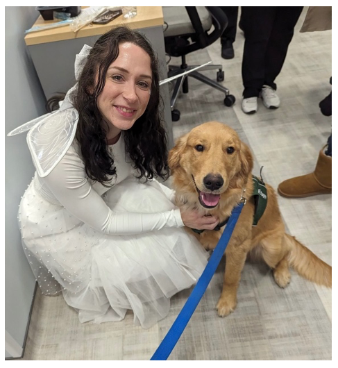 Home [www.njdha.org]