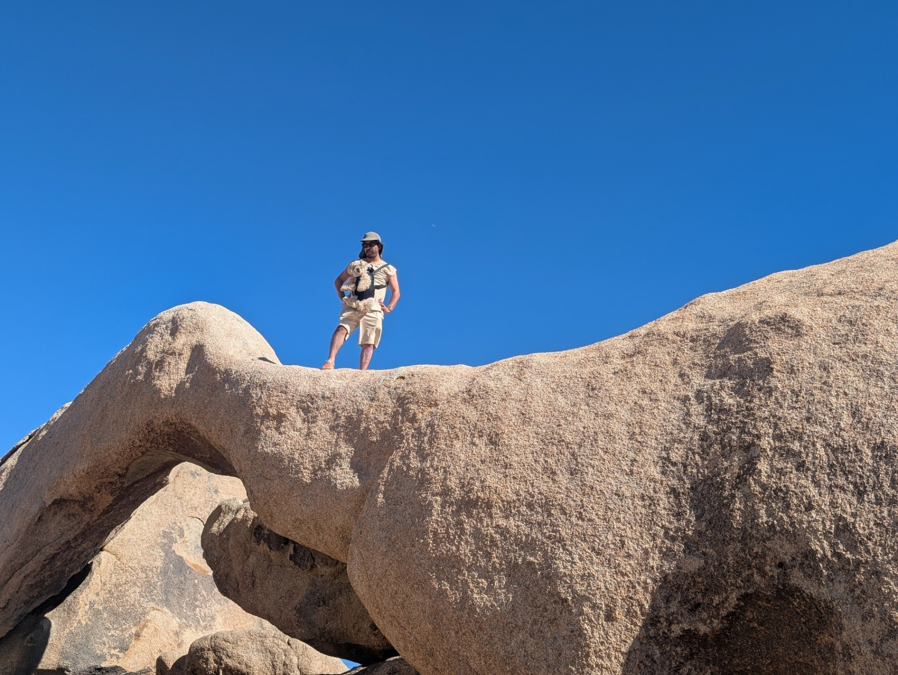 Hiking Trails | Snap, Hike, and Explore: Capture Joshua Tree's Natural ...
