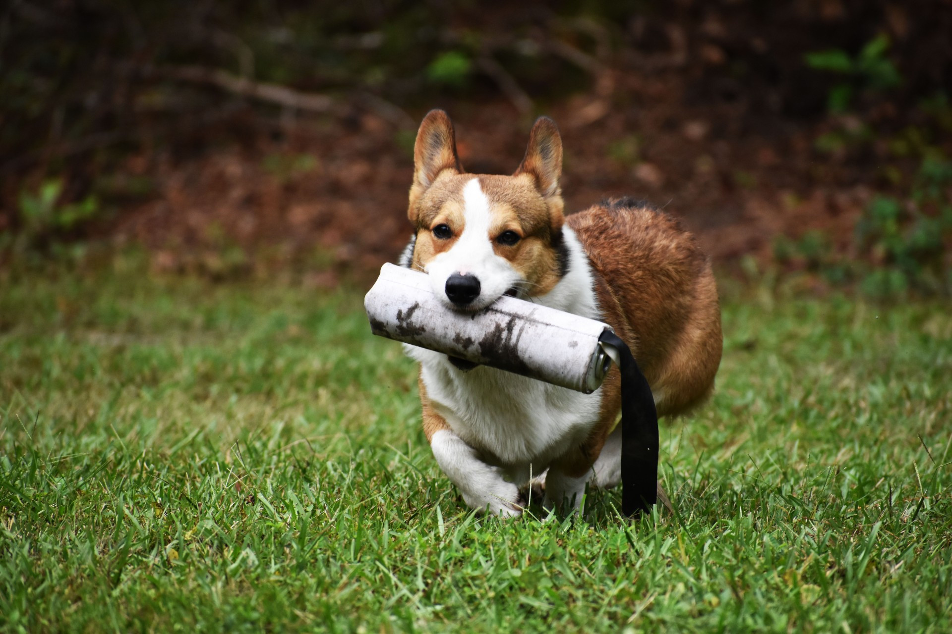 Home [www.masonsfarms.com]