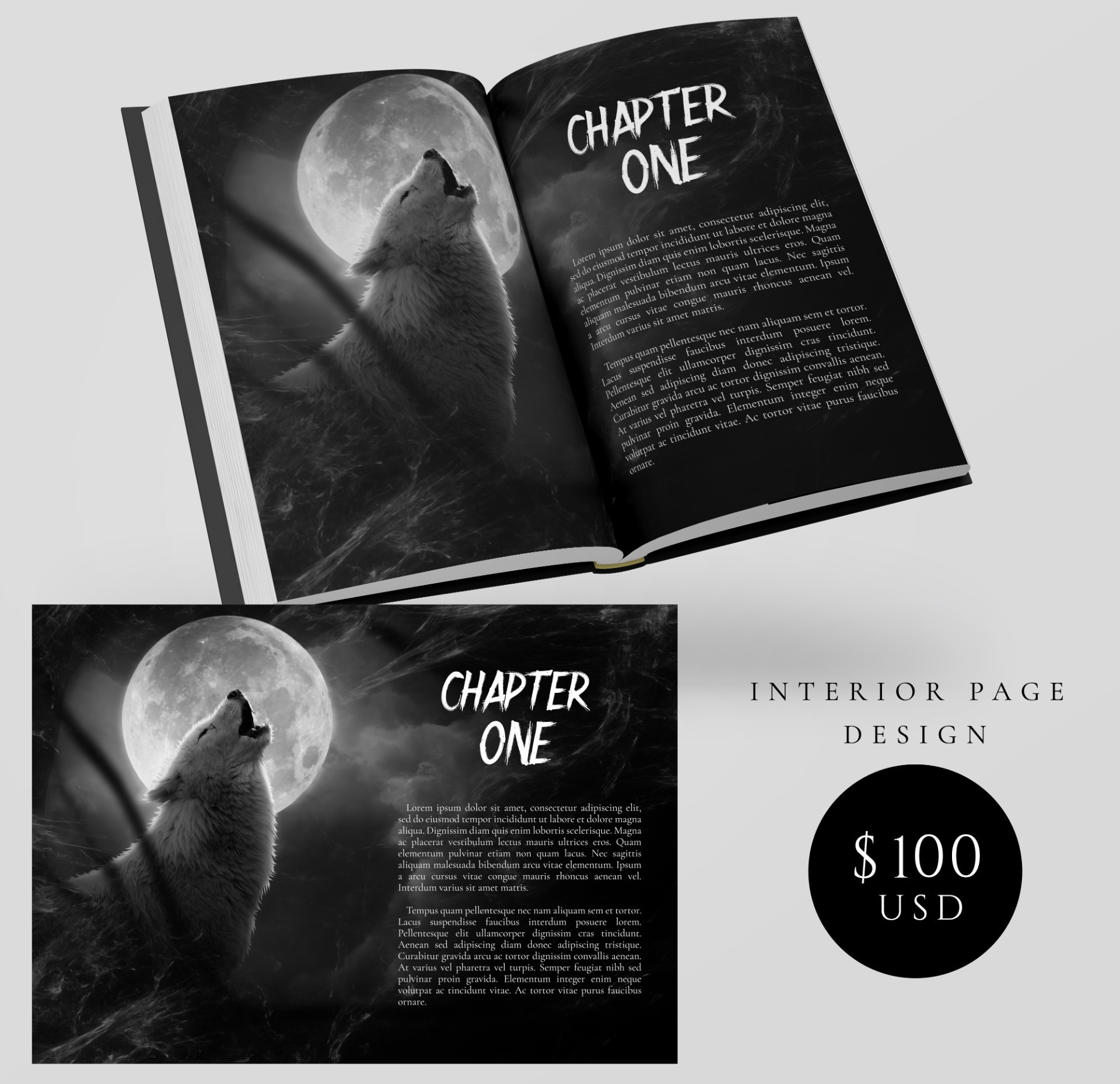 Book cover design, budget covers, premade book covers, authors
