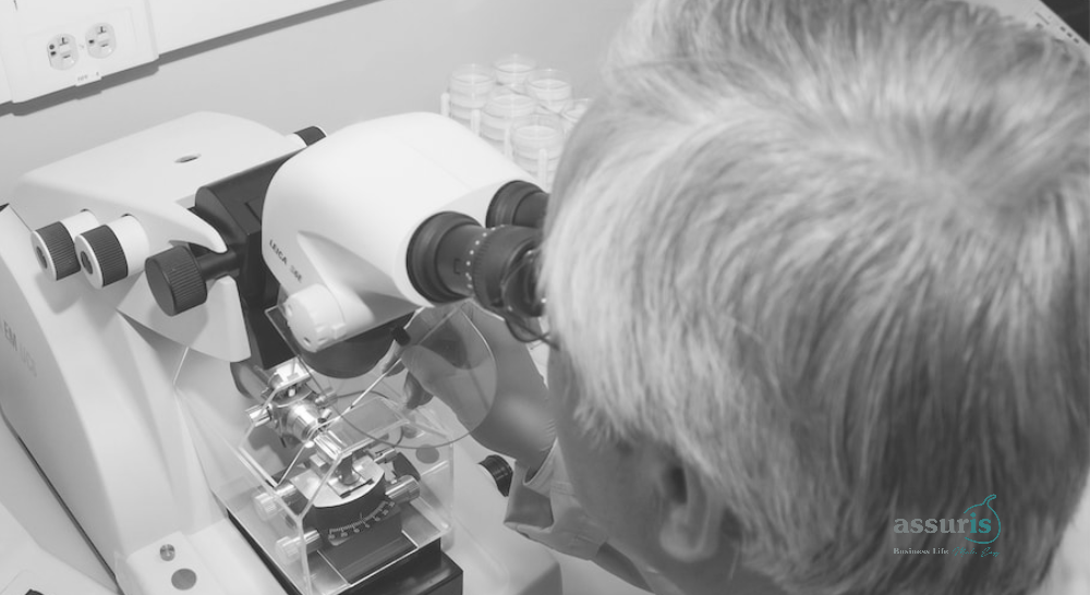 ATO Audit Assistance | Small Business Specialists | Assuris FIG