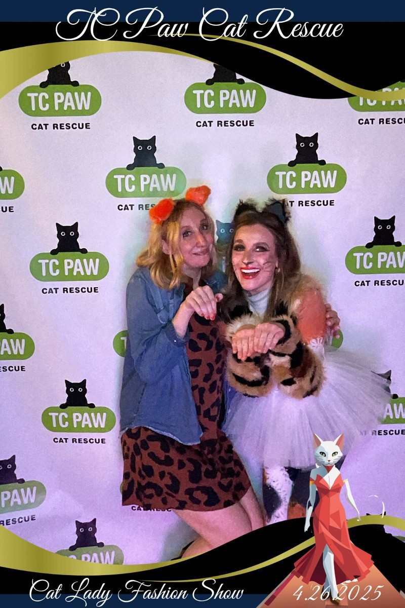 TC Paw Cat Rescue - Home