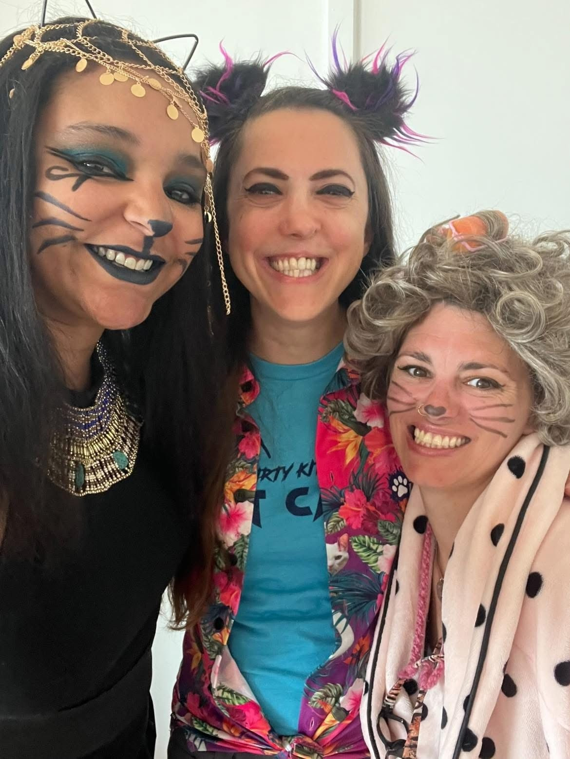 TC Paw Cat Rescue - Home