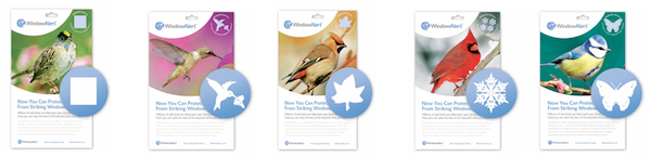 Project Kereru NZ