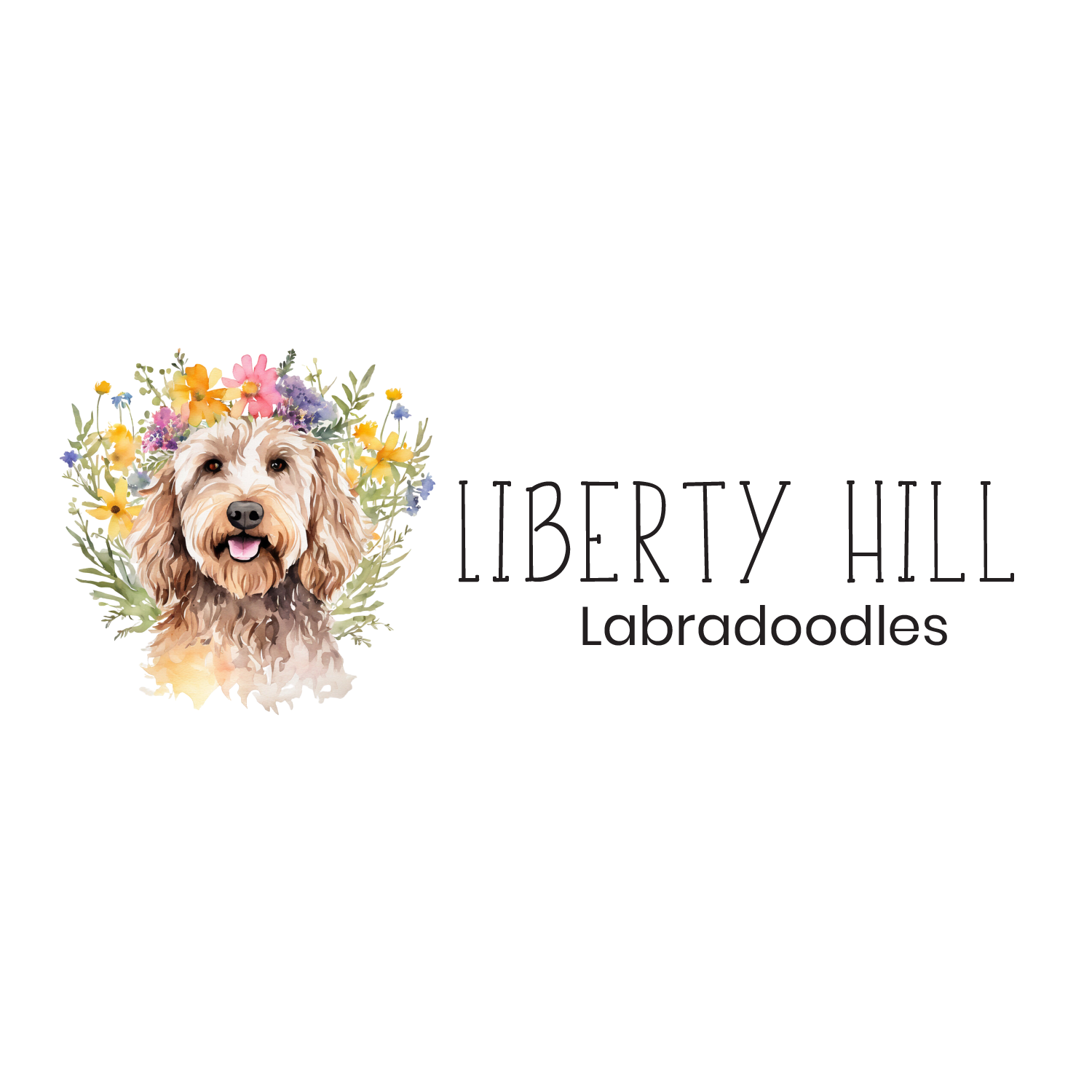 Liberty Hill Labradoodles