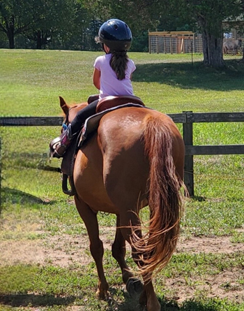 homepage [www.promiseranch.org]