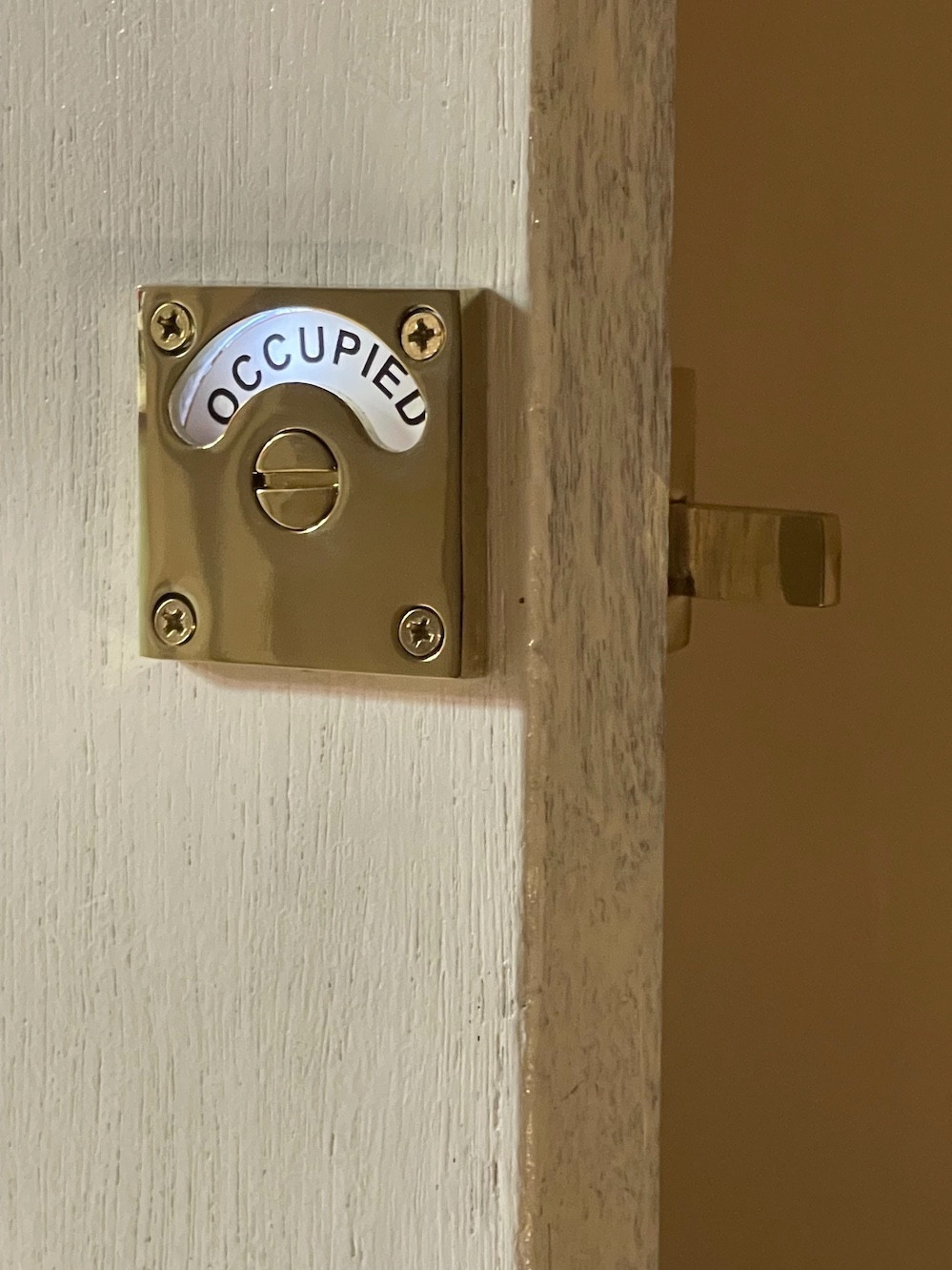 D 100 LED Bathroom Door Indicator Lock