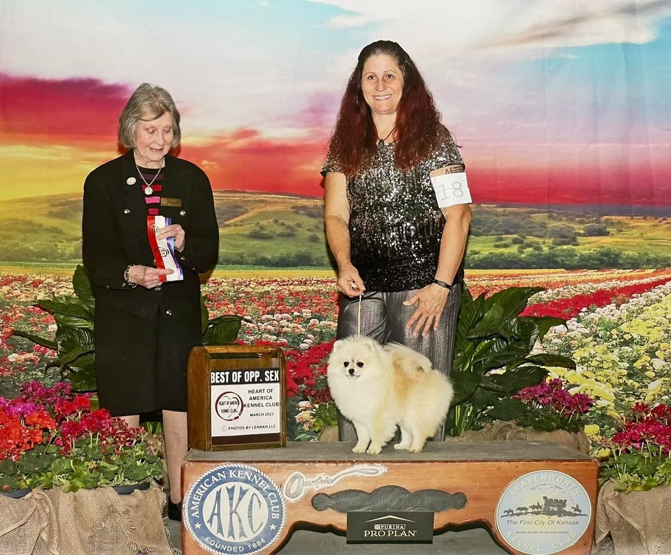 How We Are Different