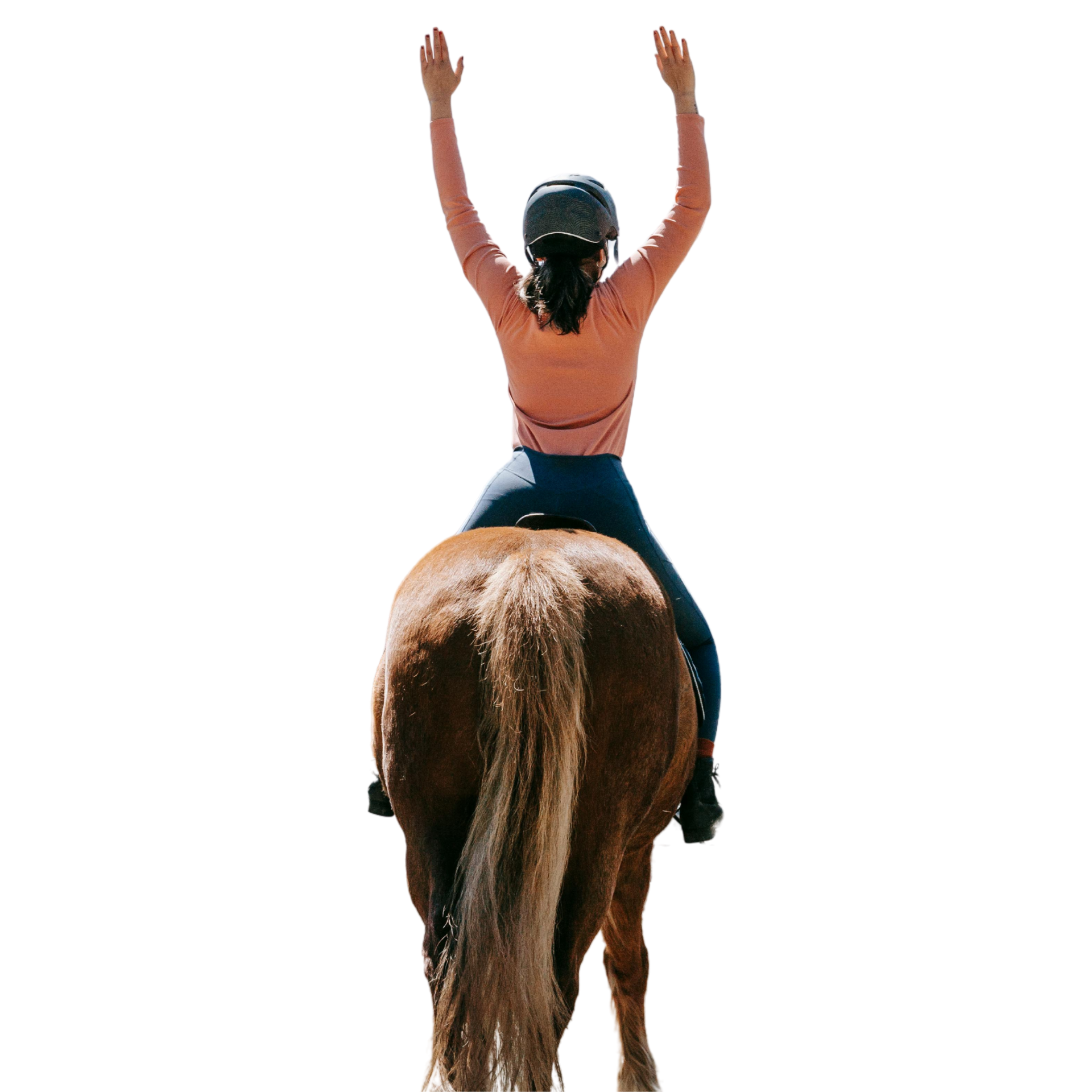 Home- Athelas Therapeutic Riding Inc