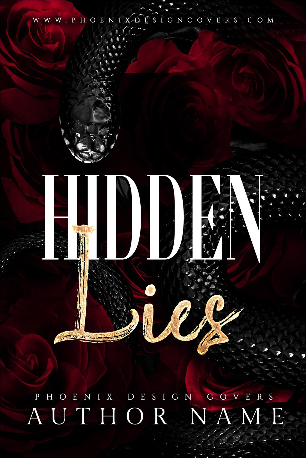 (SALE) Hidden Lies