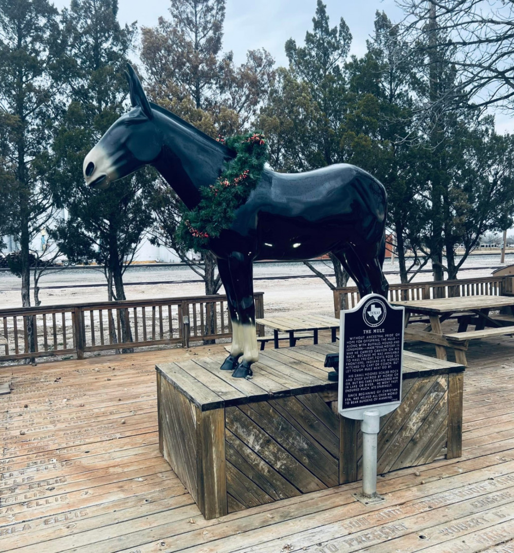 Home [www.muleshoetxchamber.com]