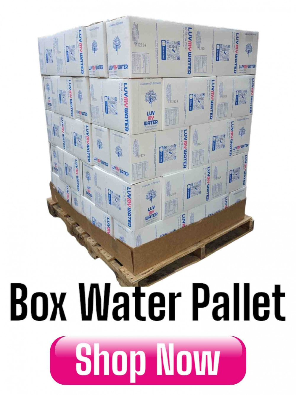 Bottled Water Delivery Service & Pallet of Water in Dallas - Ft Worth Texas